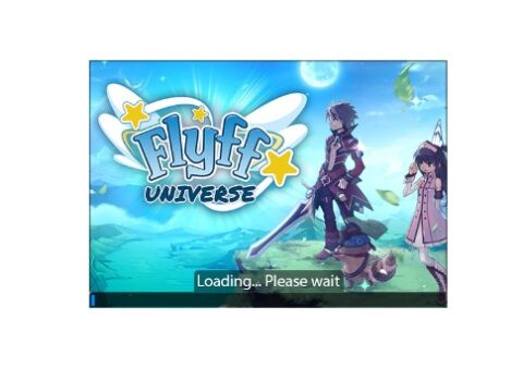 Account Verification Tutorial - PlayPark Flyff Universe